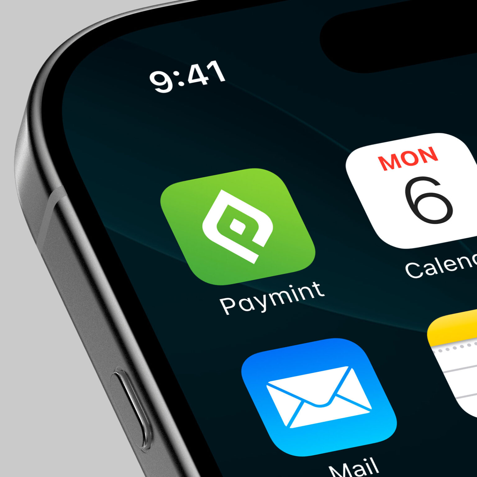 Paymint Software Case Study | RYCO Design | NH Brand Agency